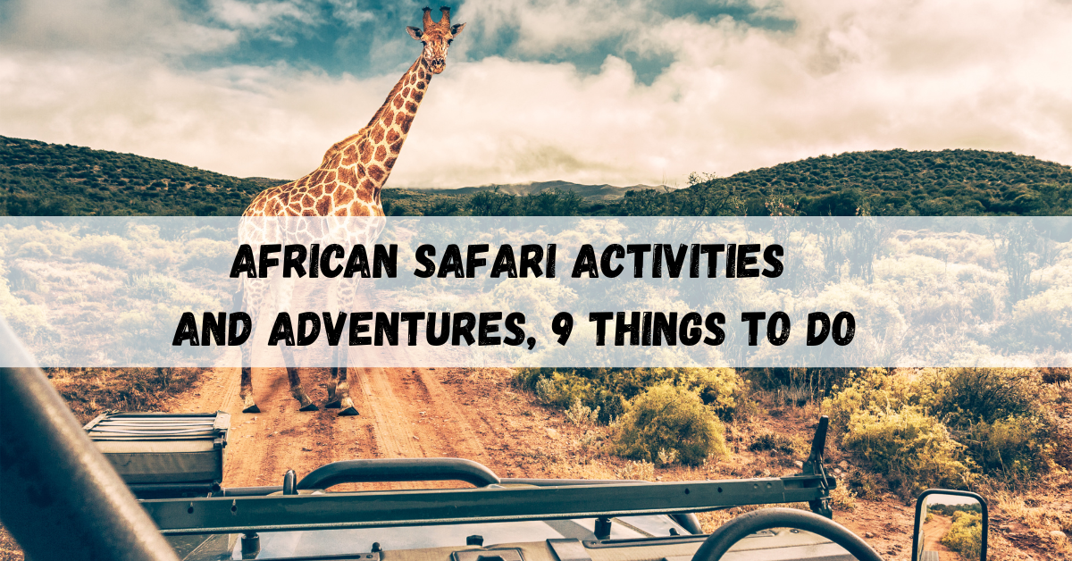 African Safari Activities and Adventures, 9 Things to Do | Stayteller